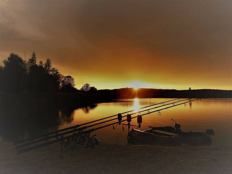 About the Lake - Happy Lake